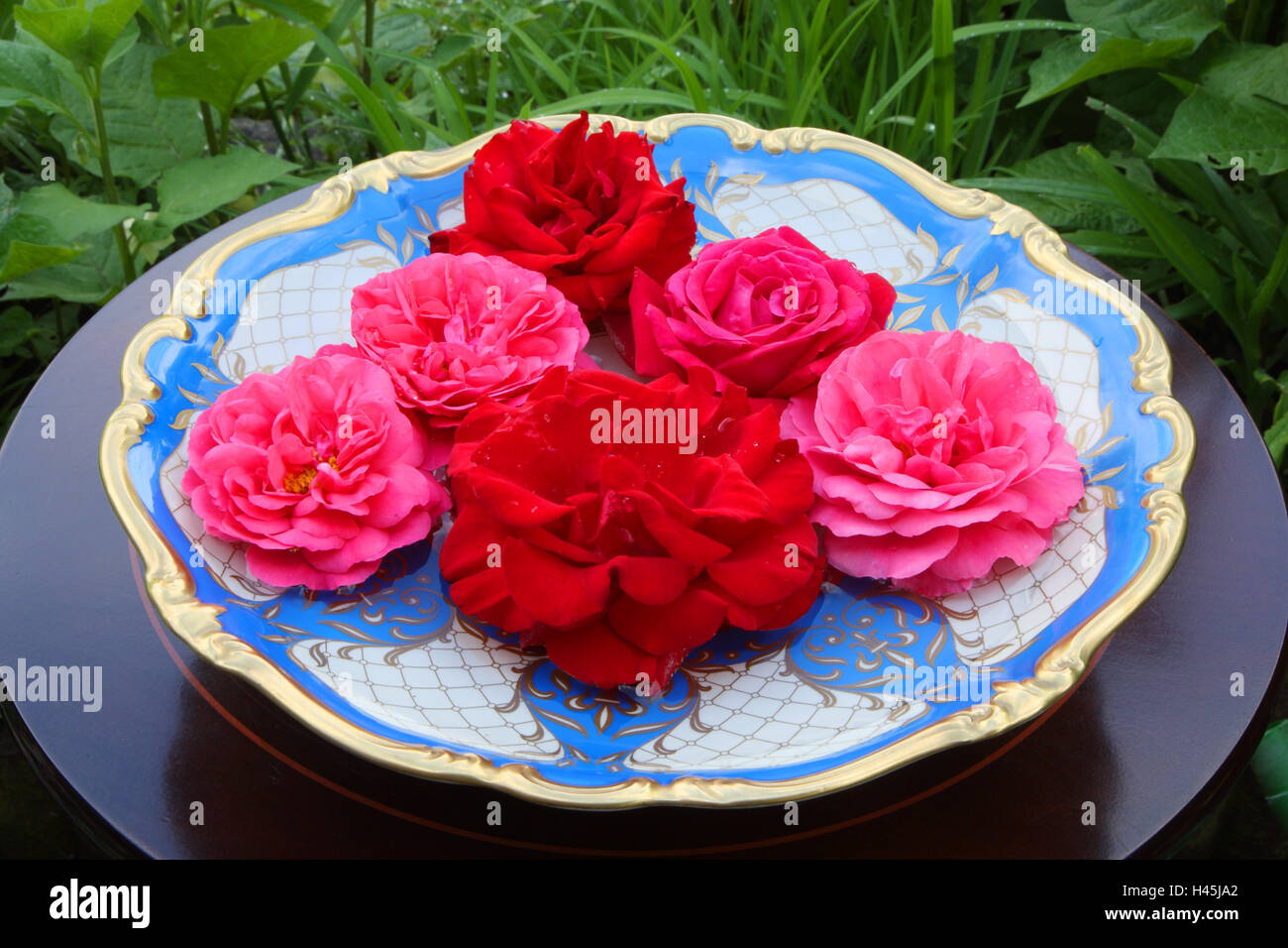 Peel with rose blossoms Stock Photo - Alamy