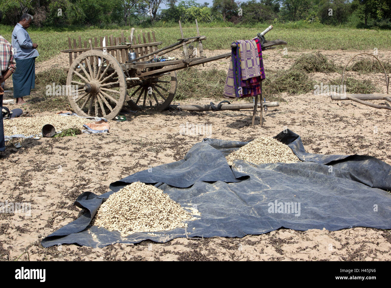 Peanut carts hi-res stock photography and images - Alamy