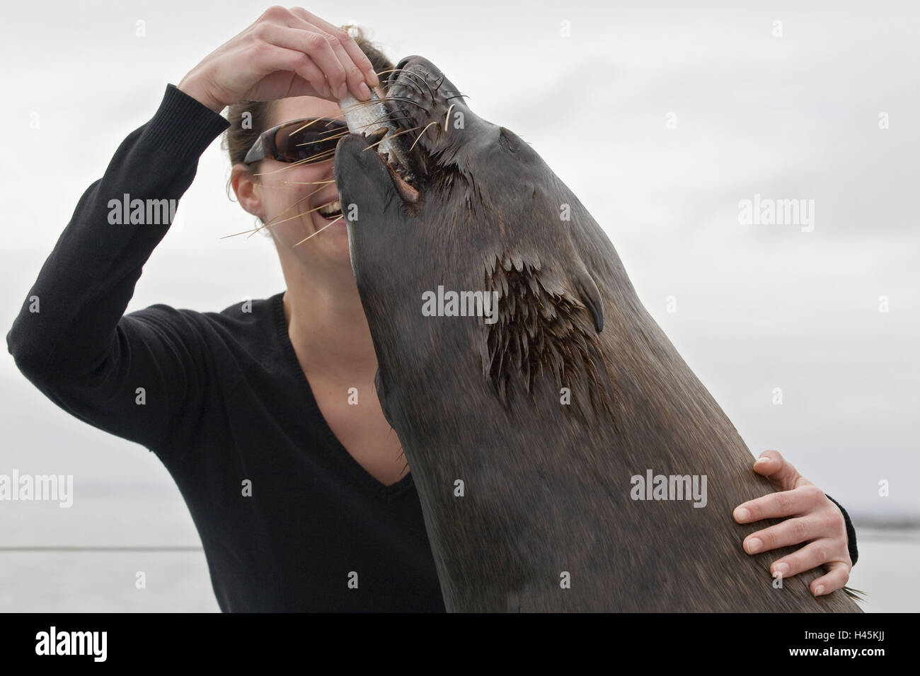 Africa, Namibia, Walvis Bay, woman, South African sea bears ...