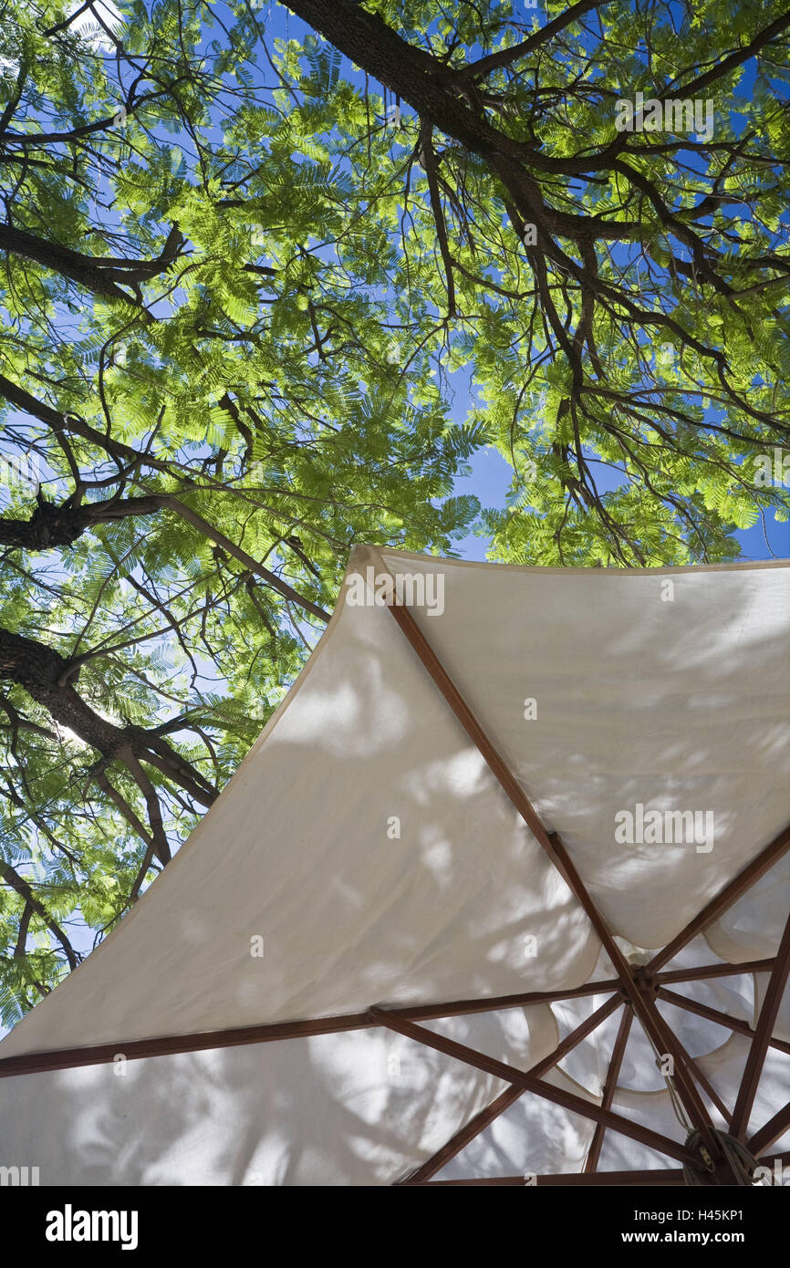 Sunshade tree hi-res stock photography and images - Alamy