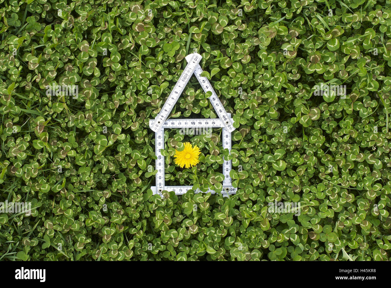 Clover, folding rule, house shape Stock Photo - Alamy