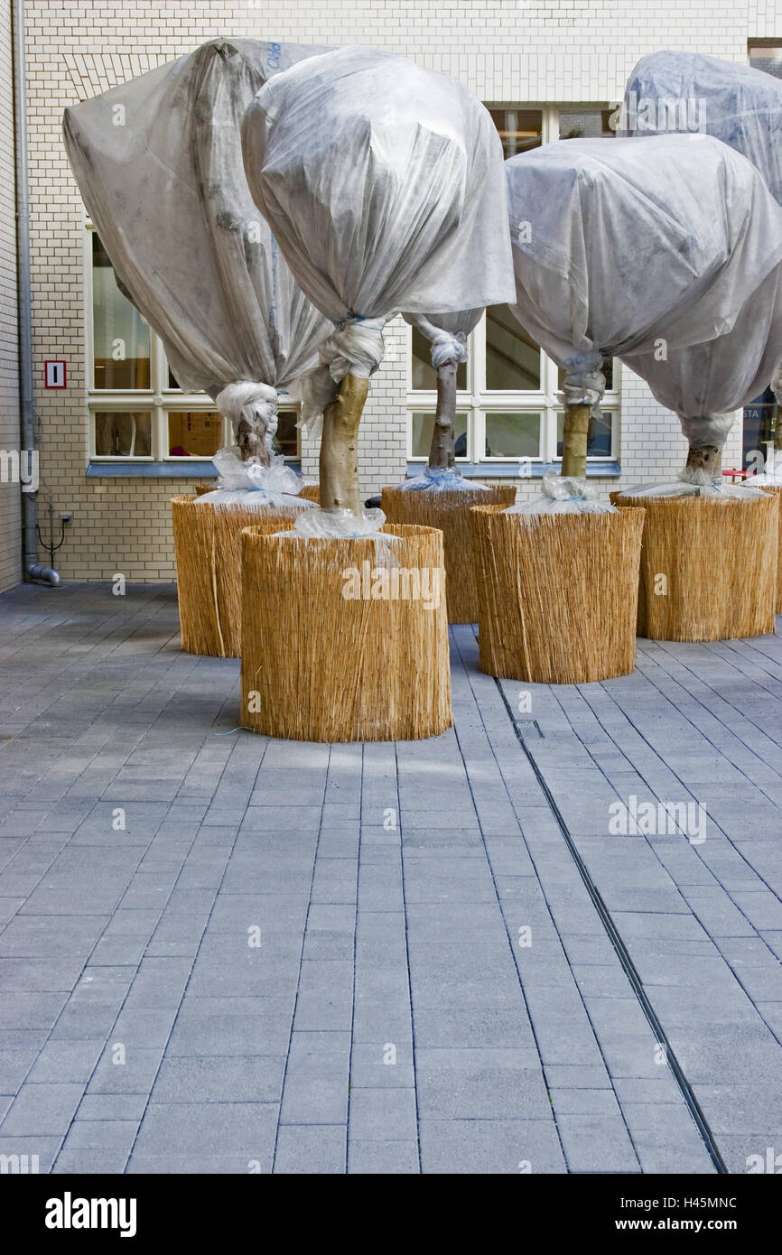 Germany berlin space ornamental trees hi-res stock photography and ...