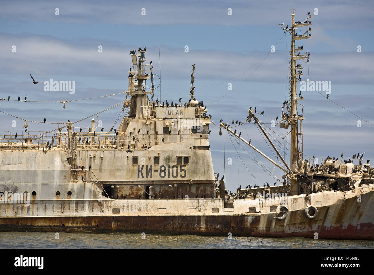 Africa, Namibia, Walvis Bay, ship wreck, cormorants, Phalacrocorax ...