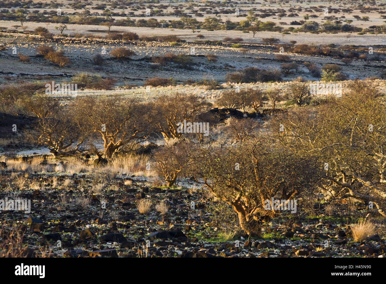 Namibia stones hi-res stock photography and images - Alamy