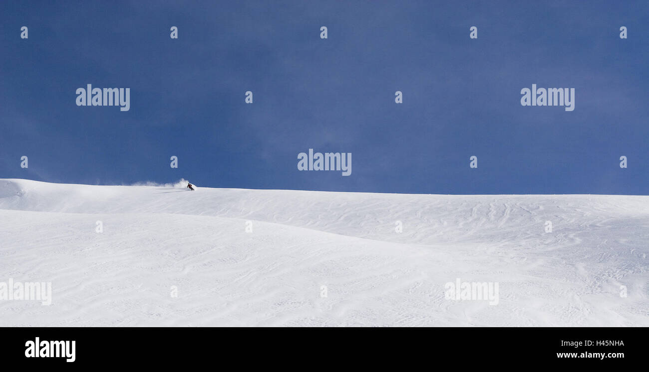 Skier, horizon, person, Freeride, area, powder snow, deep snow, snow ...