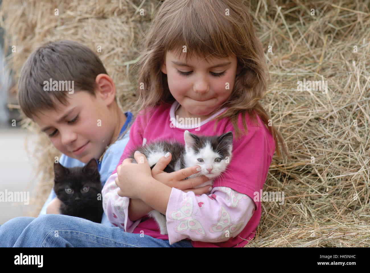 Girls, boy, kitten, caress Stock Photo - Alamy