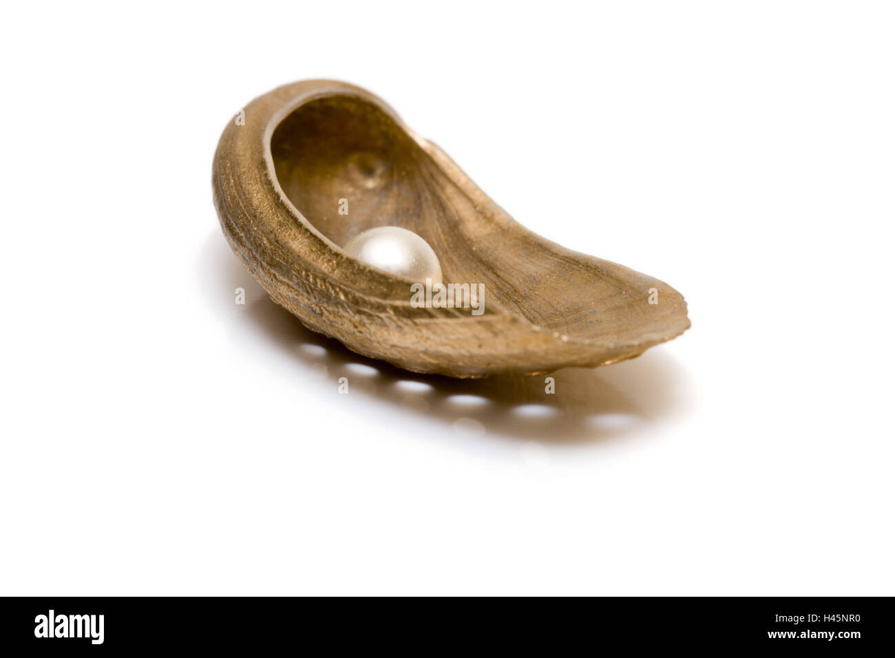 Lime shell hi-res stock photography and images - Alamy