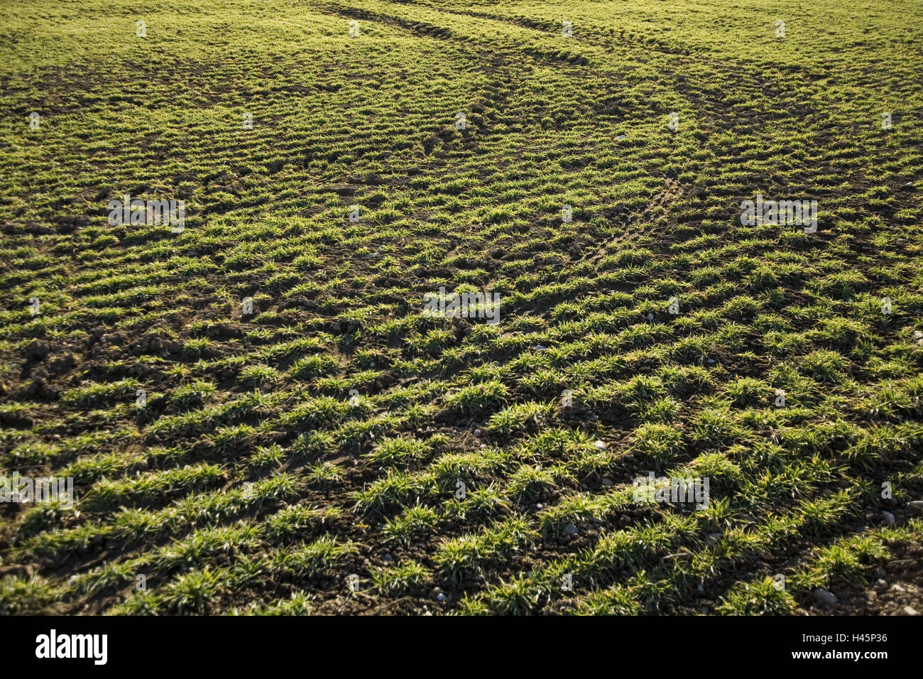 Acres of grain hi-res stock photography and images - Alamy