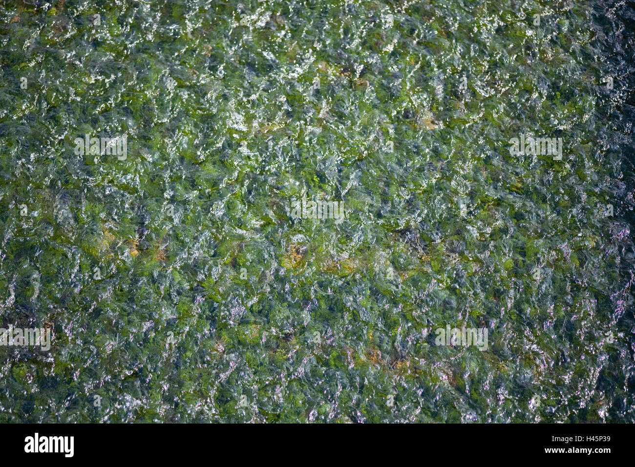 river, water surface Stock Photo - Alamy