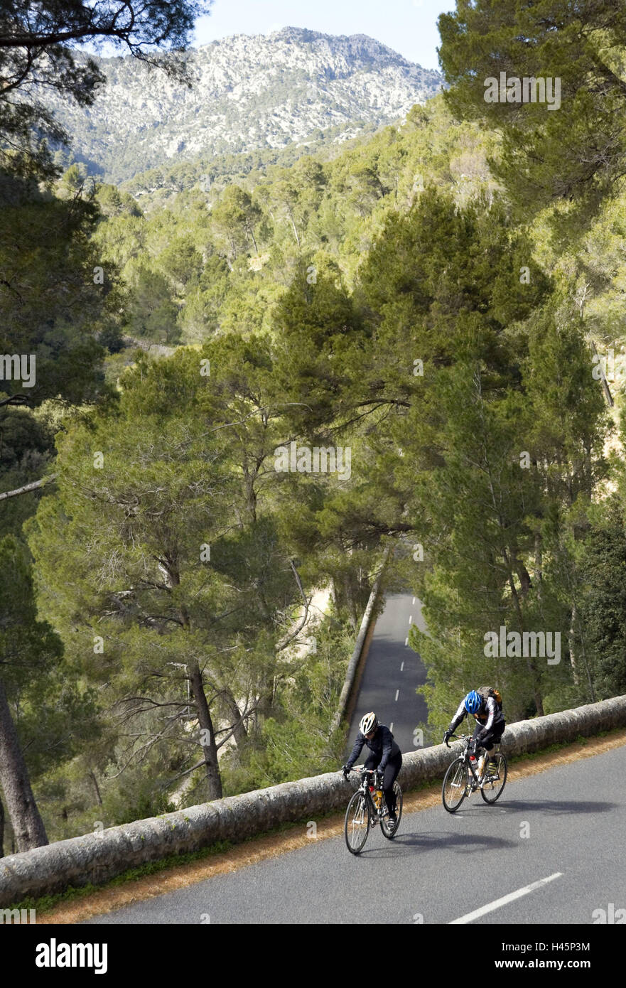 Spain, the Balearic Islands, island Majorca, Tramuntana, mountain road ...