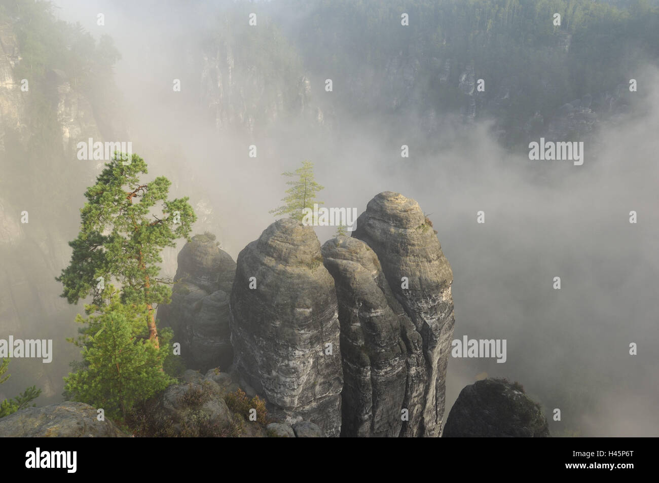 Elbe Sandstone Mountains, low mountain range, morning haze, sea of ...