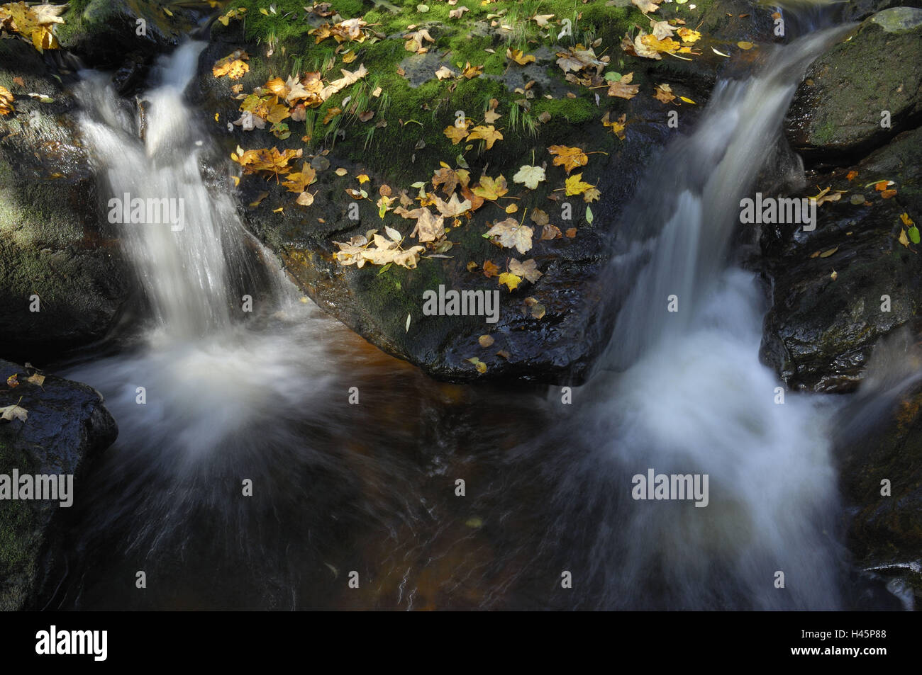 Forest brook, waterfalls, autumn foliage Stock Photo - Alamy