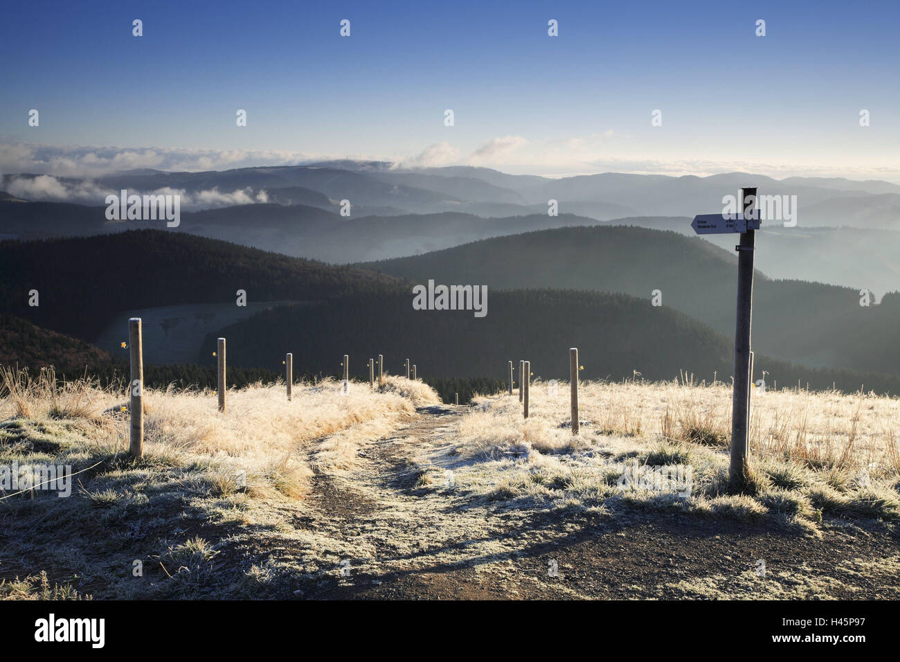 Blechen hi-res stock photography and images - Alamy