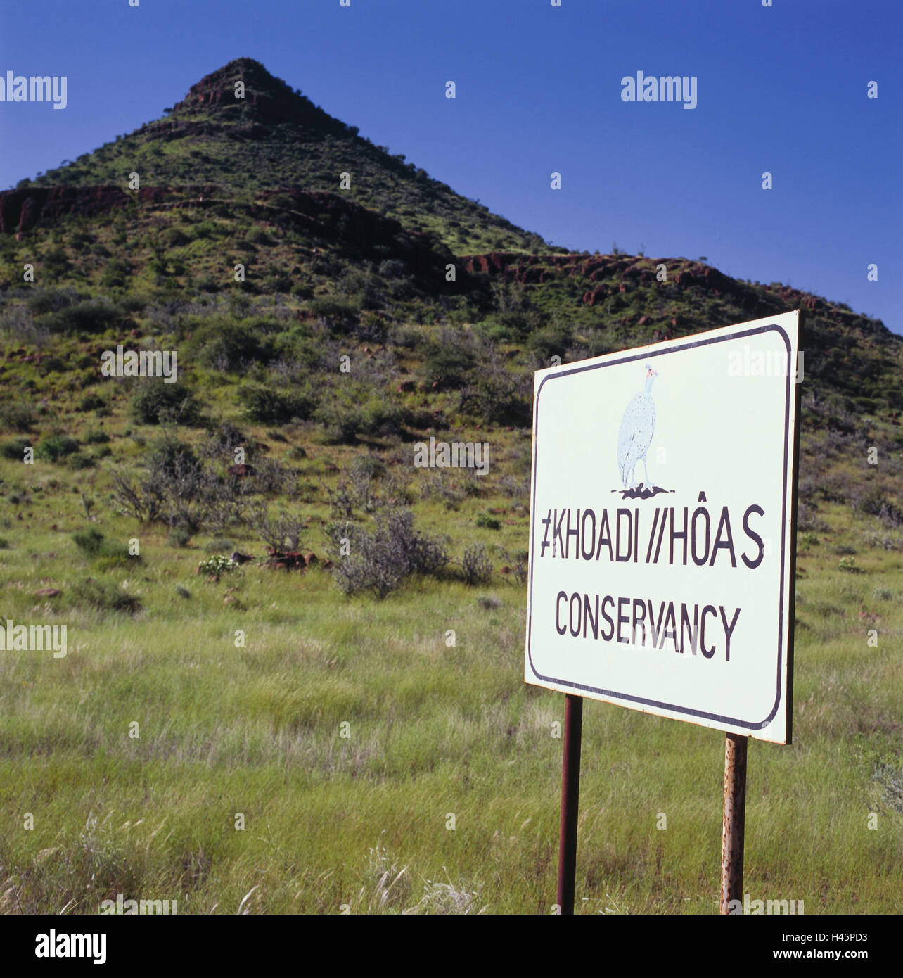 Khoadi hoas hi-res stock photography and images - Alamy