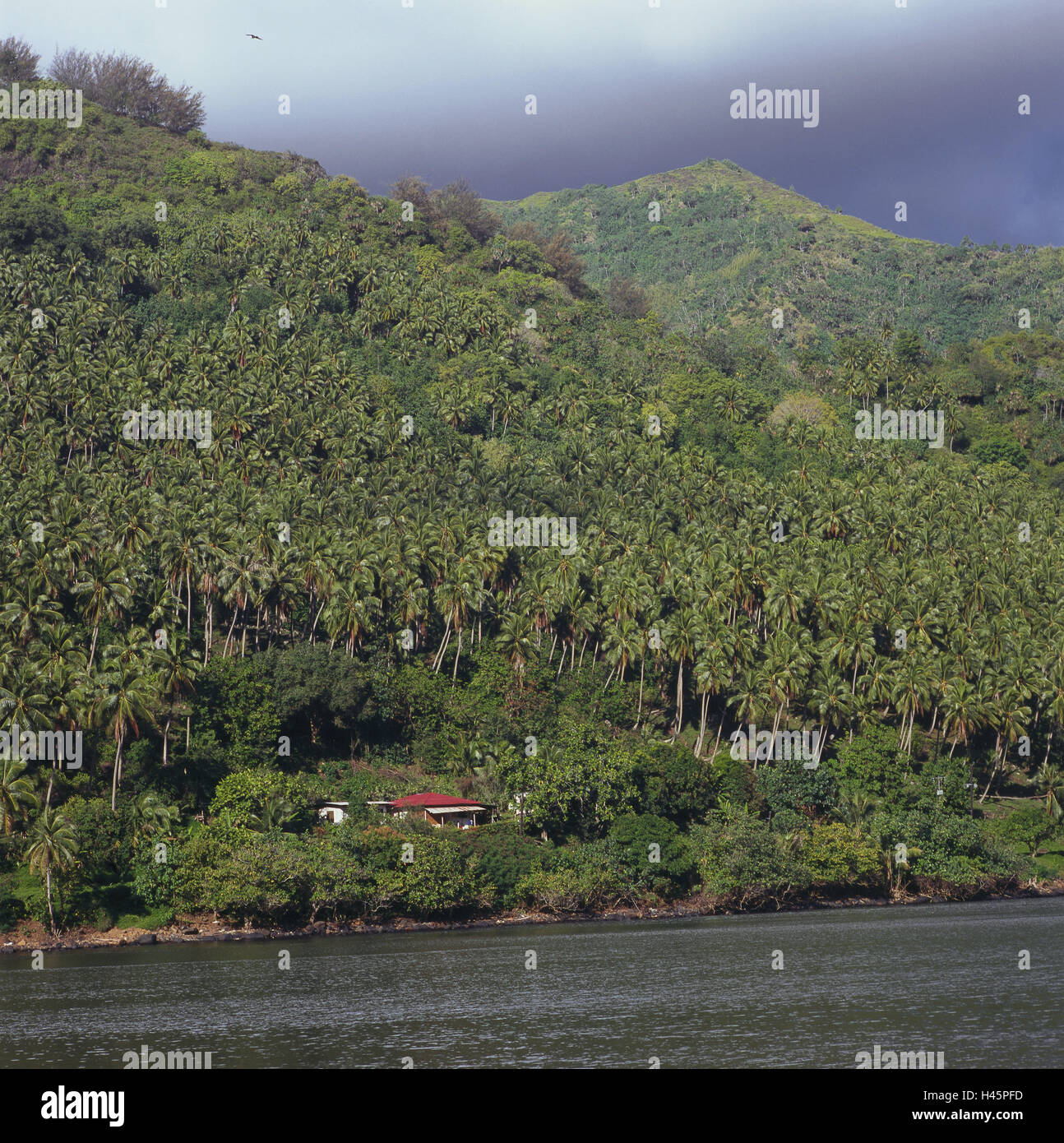 Taipivai hi-res stock photography and images - Alamy