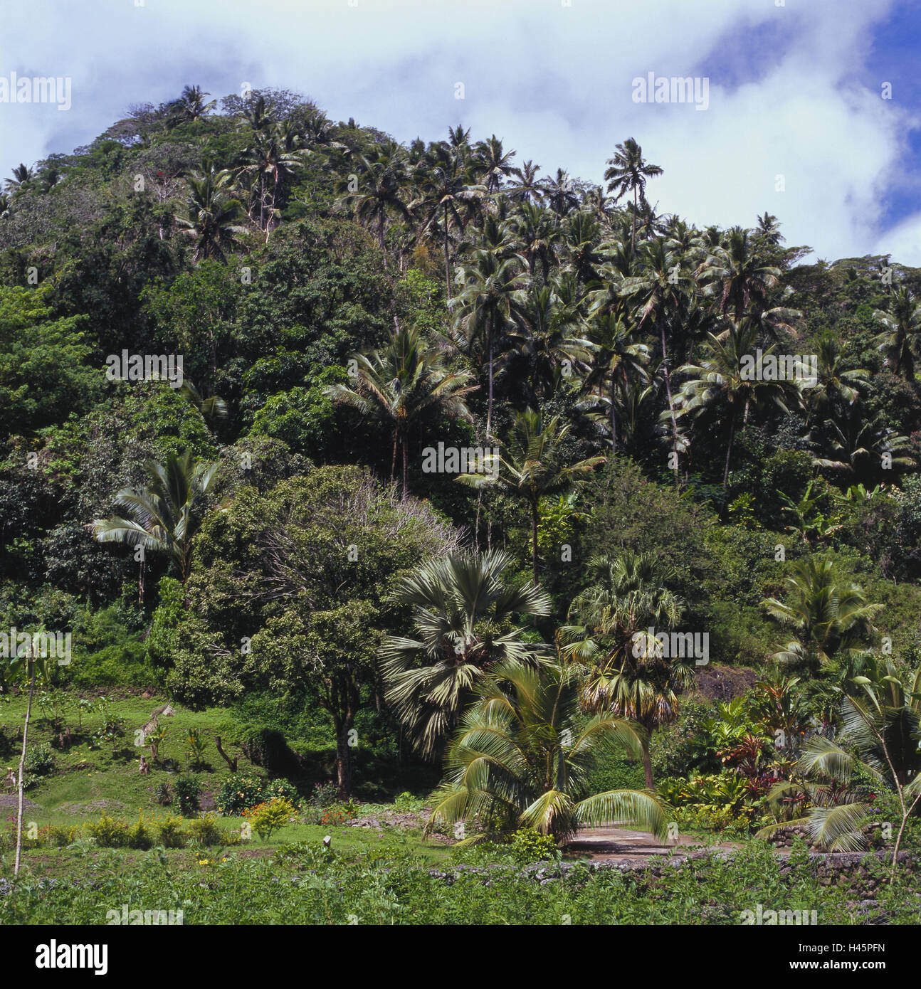 Hiva oa, french polynesia hi-res stock photography and images - Alamy