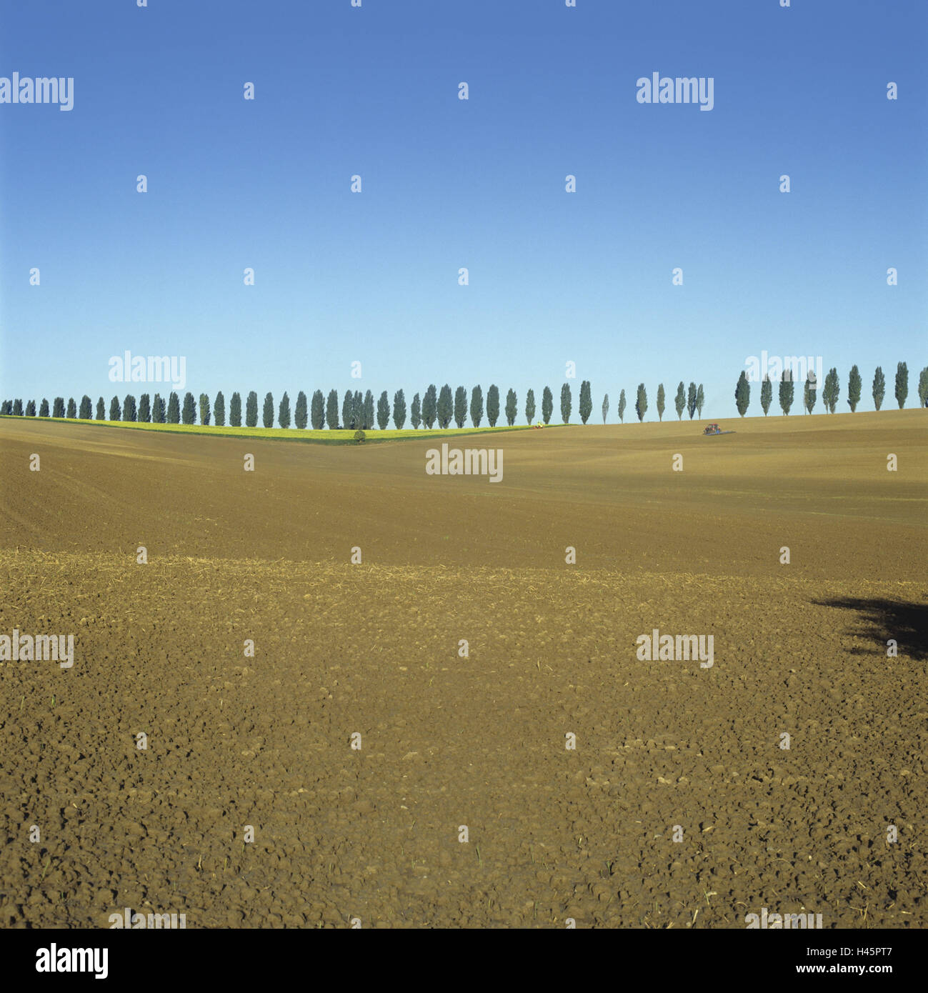 Field avenue hi-res stock photography and images - Alamy