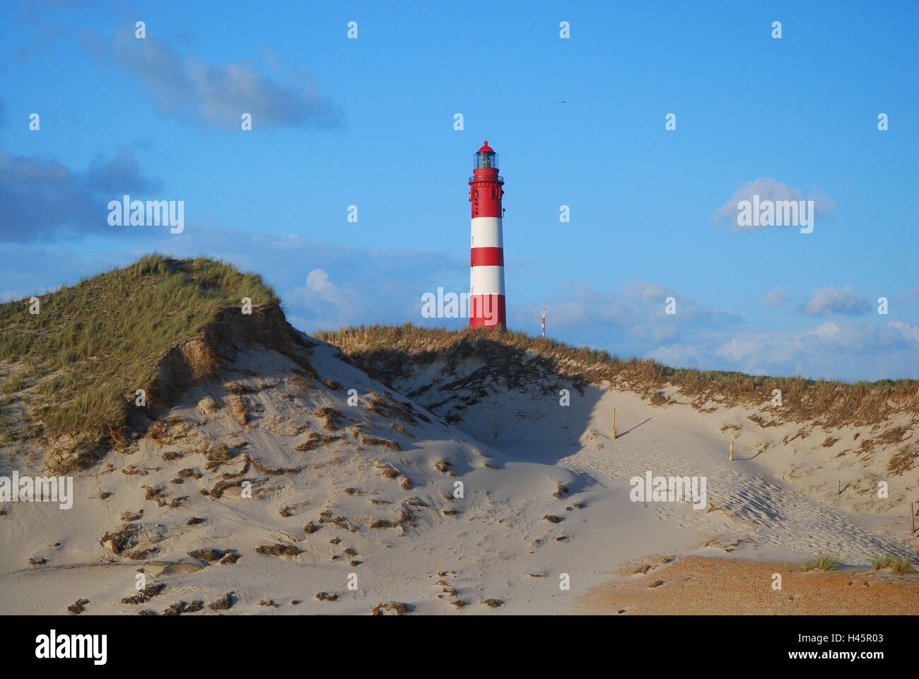 Germany, Schleswig - Holstein, island Amrum, lighthouse Stock Photo - Alamy