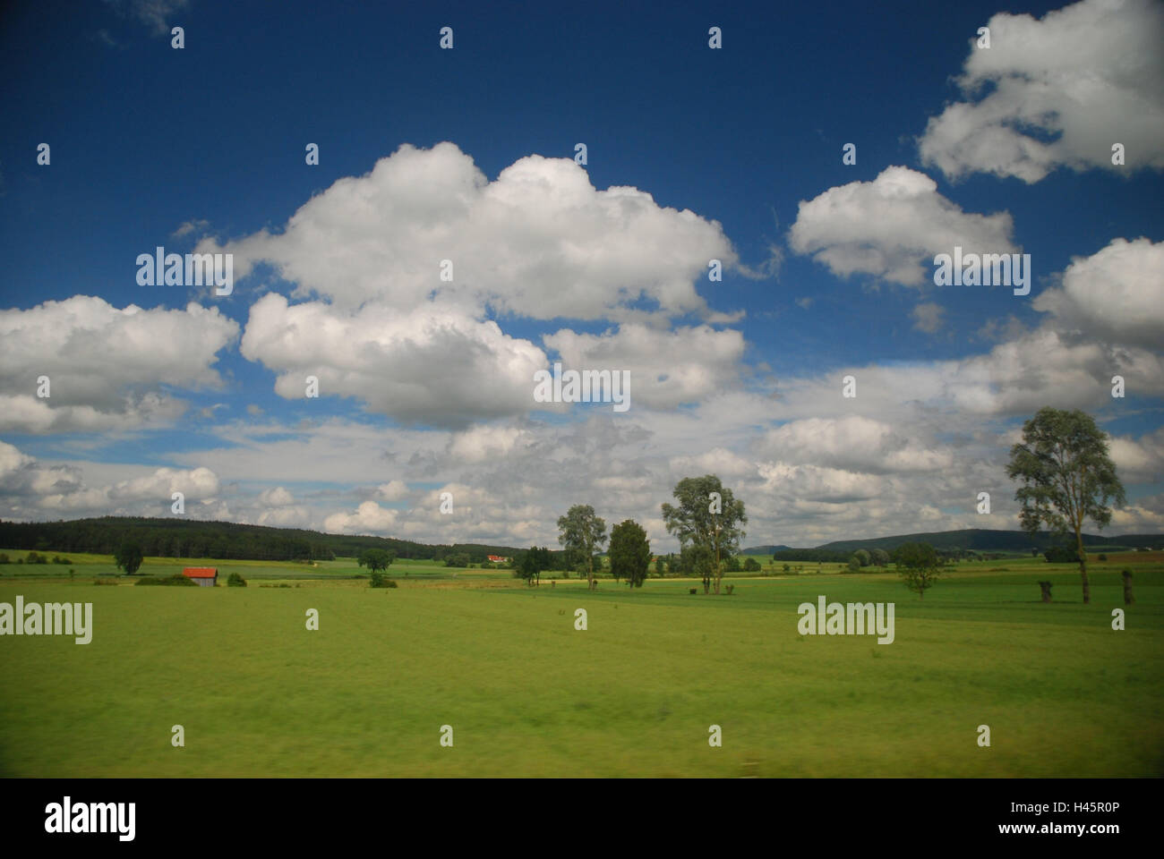 Germany, Bavaria, field scenery, summer Stock Photo - Alamy