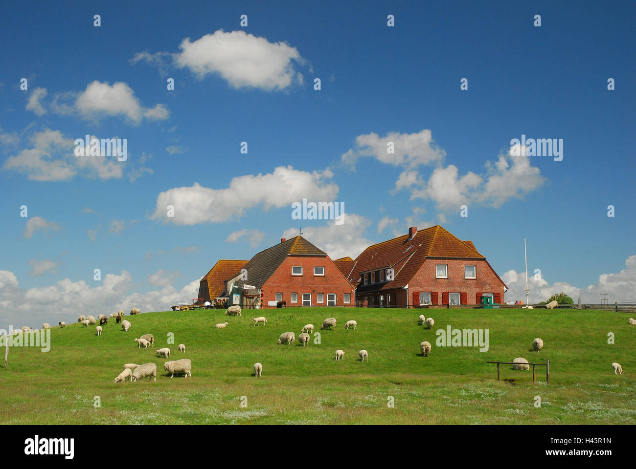Nordstrand island hi-res stock photography and images - Alamy