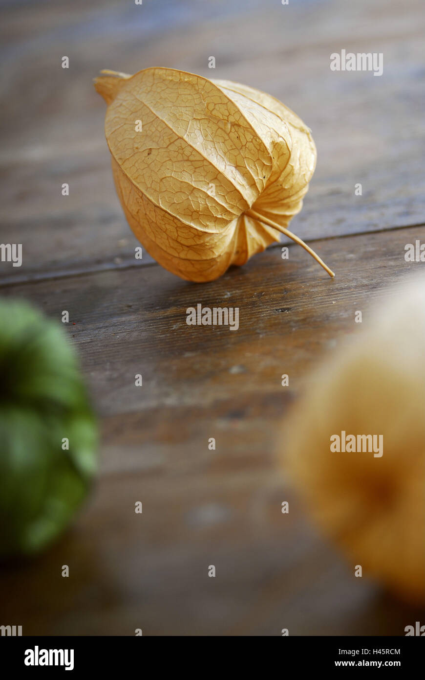 Lampion flowers hi-res stock photography and images - Alamy