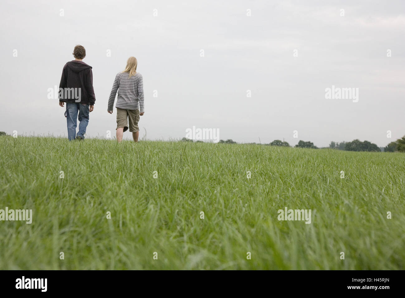 Boys, teenagers, two, back view, meadow, go Stock Photo - Alamy