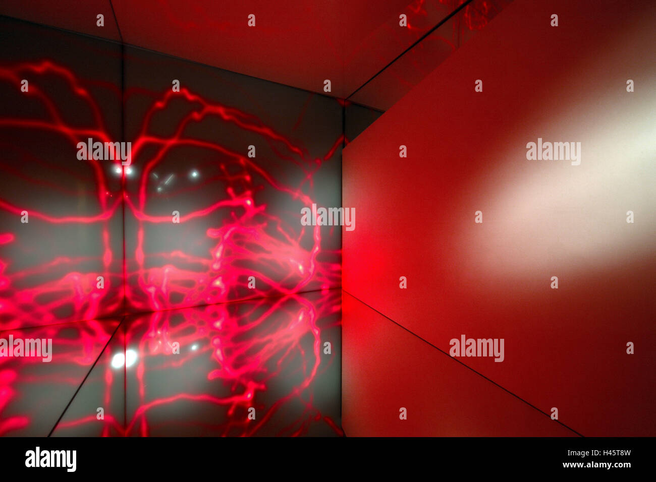 Room, wall, light objects, colours, samples, red, interior shot, lights ...