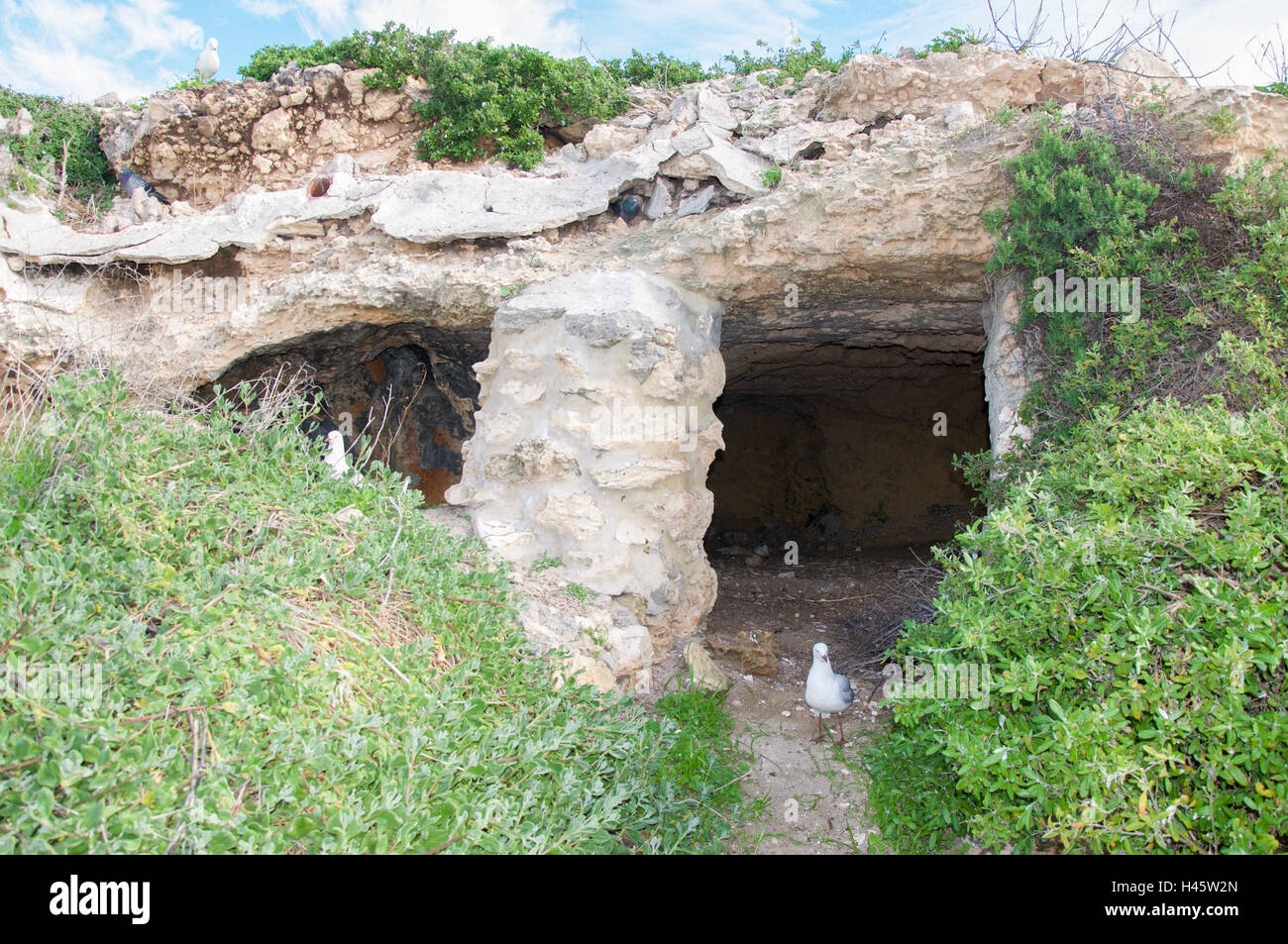 Limestone cave with pillar and sea gulls nesting on the beach at ...