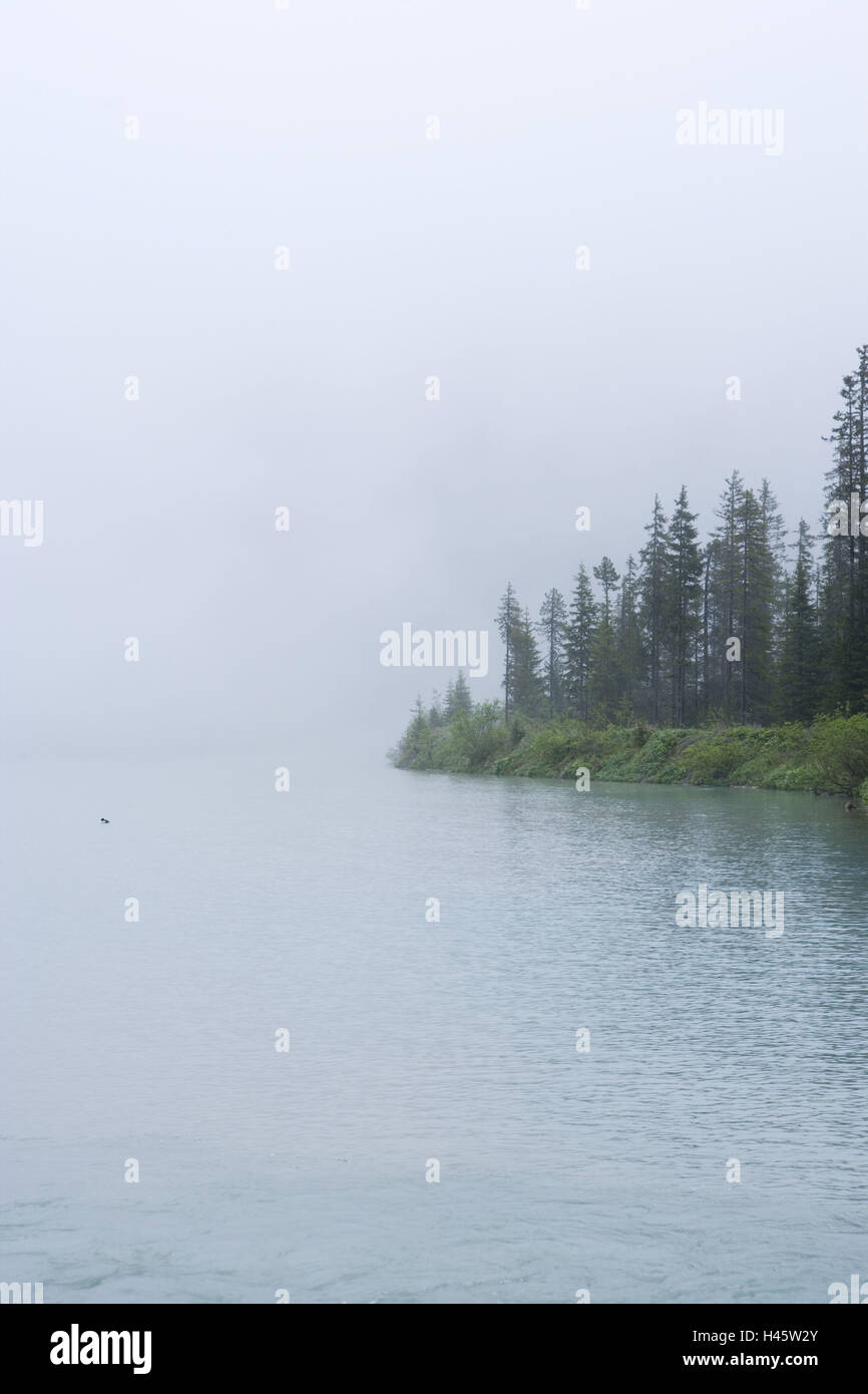 Switzerland, Graubünden, Prättigau, Arosa, reservoir, fog mood Stock ...