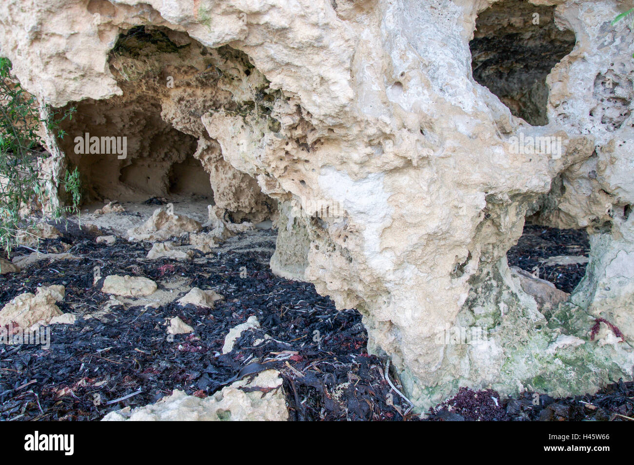 Closeup of the rugged and eroded limestone rock formations and caves at ...