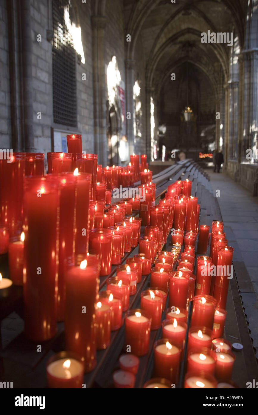 Phantom Of The Opera Rose And Candle