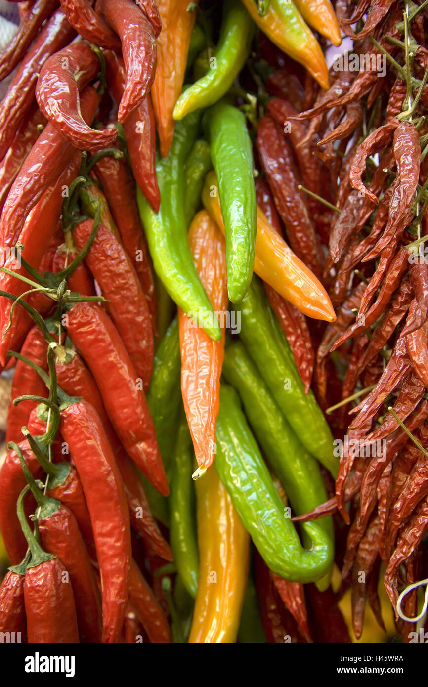 Chilli pods, dryly, market, product, sales, Spain, Barcelona, market La ...
