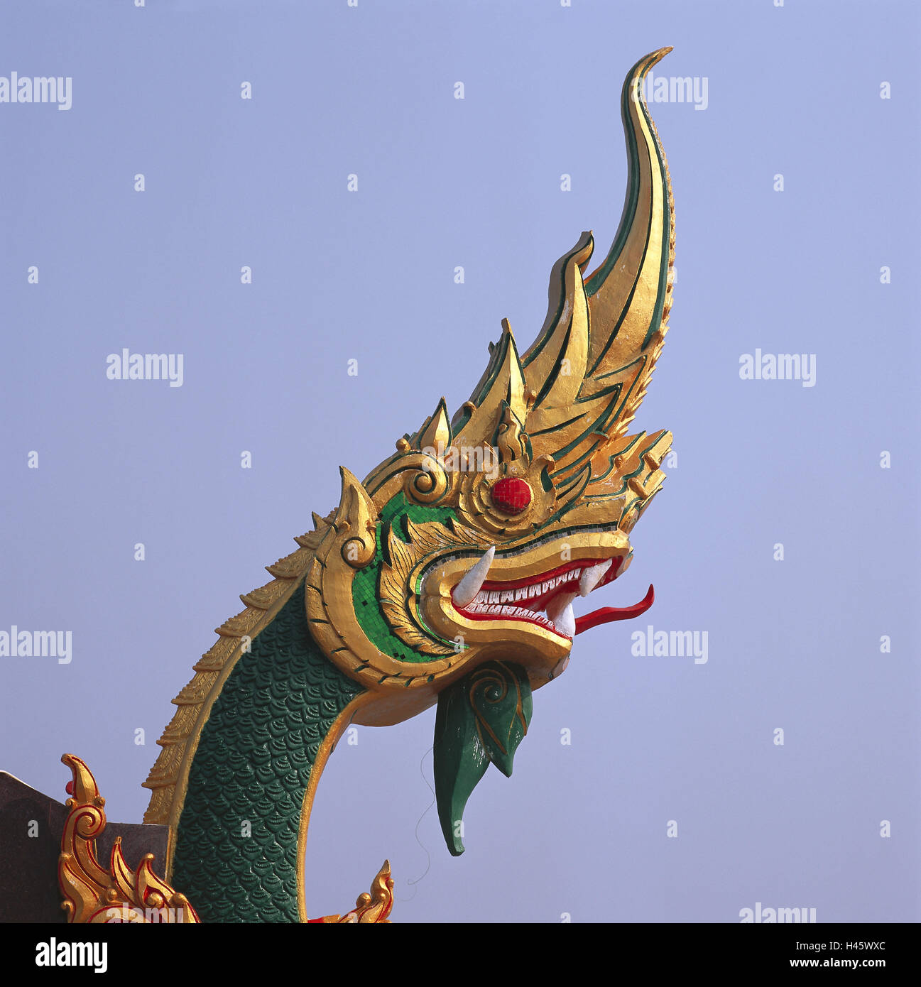Chinese Dragon Head Side View