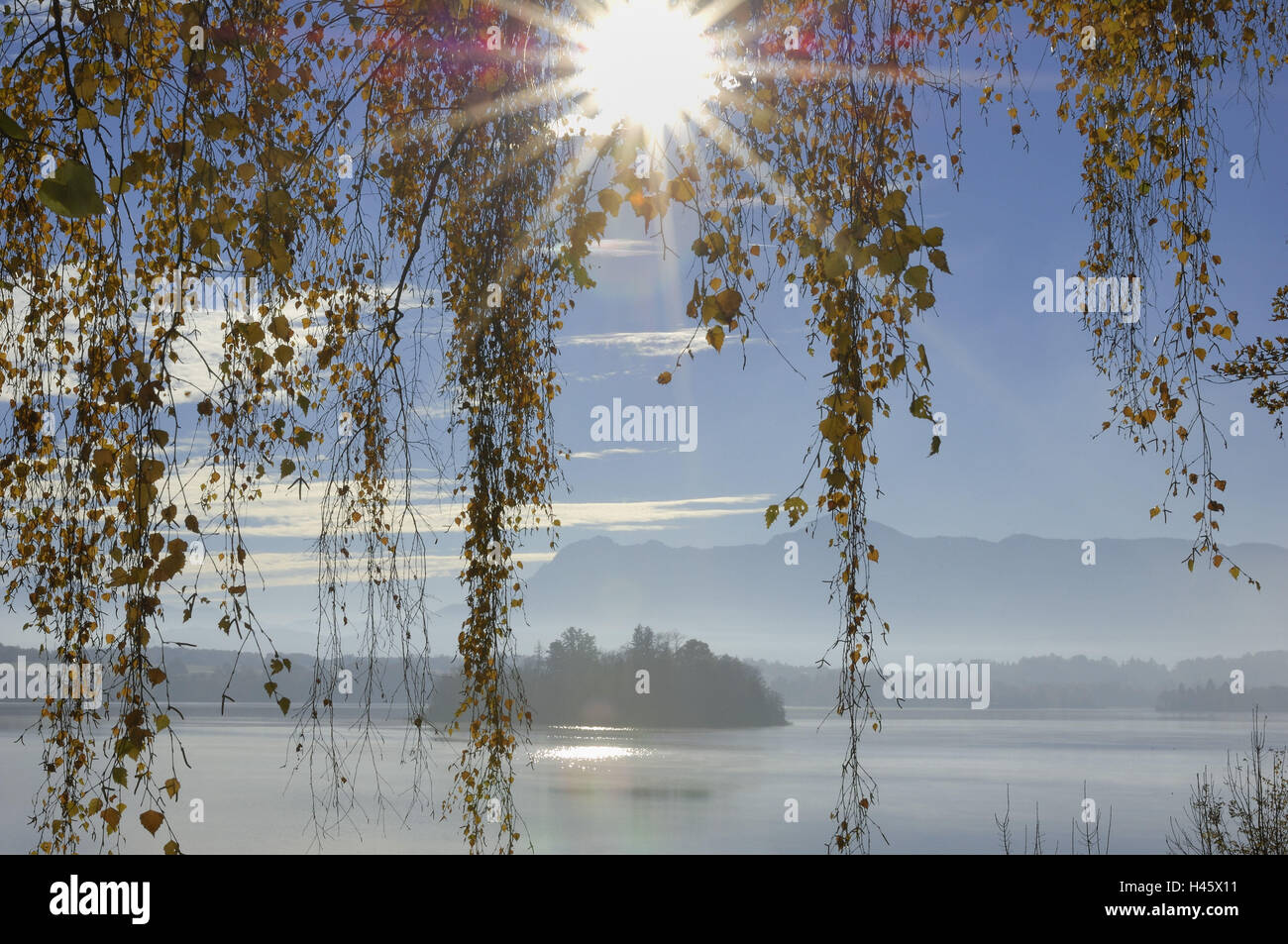 Germany, Bavaria, Pfaffenwinkel, Staffelsee, Uffing, sun, autumn, birch ...