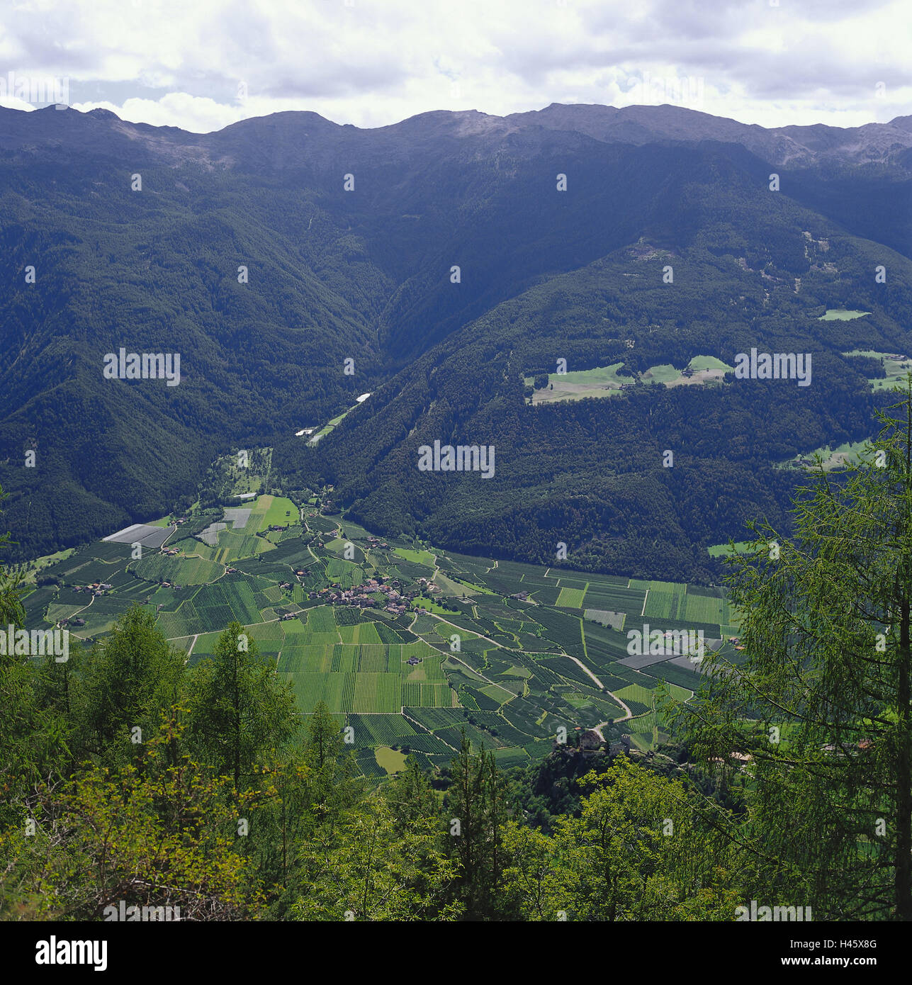 Italy, South Tyrol, Meraner height way, view, Vinschgau, Naturns ...