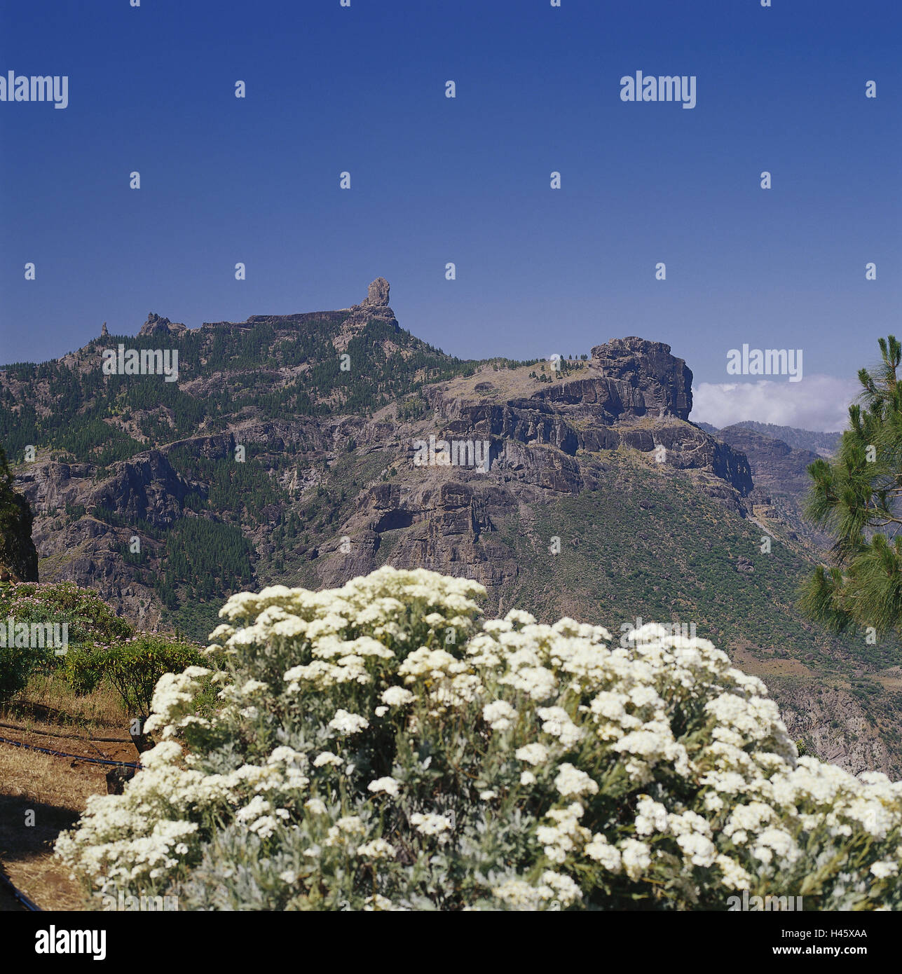 Spain, the Canaries, island grain Canaria, mountain landscape, "Roque ...