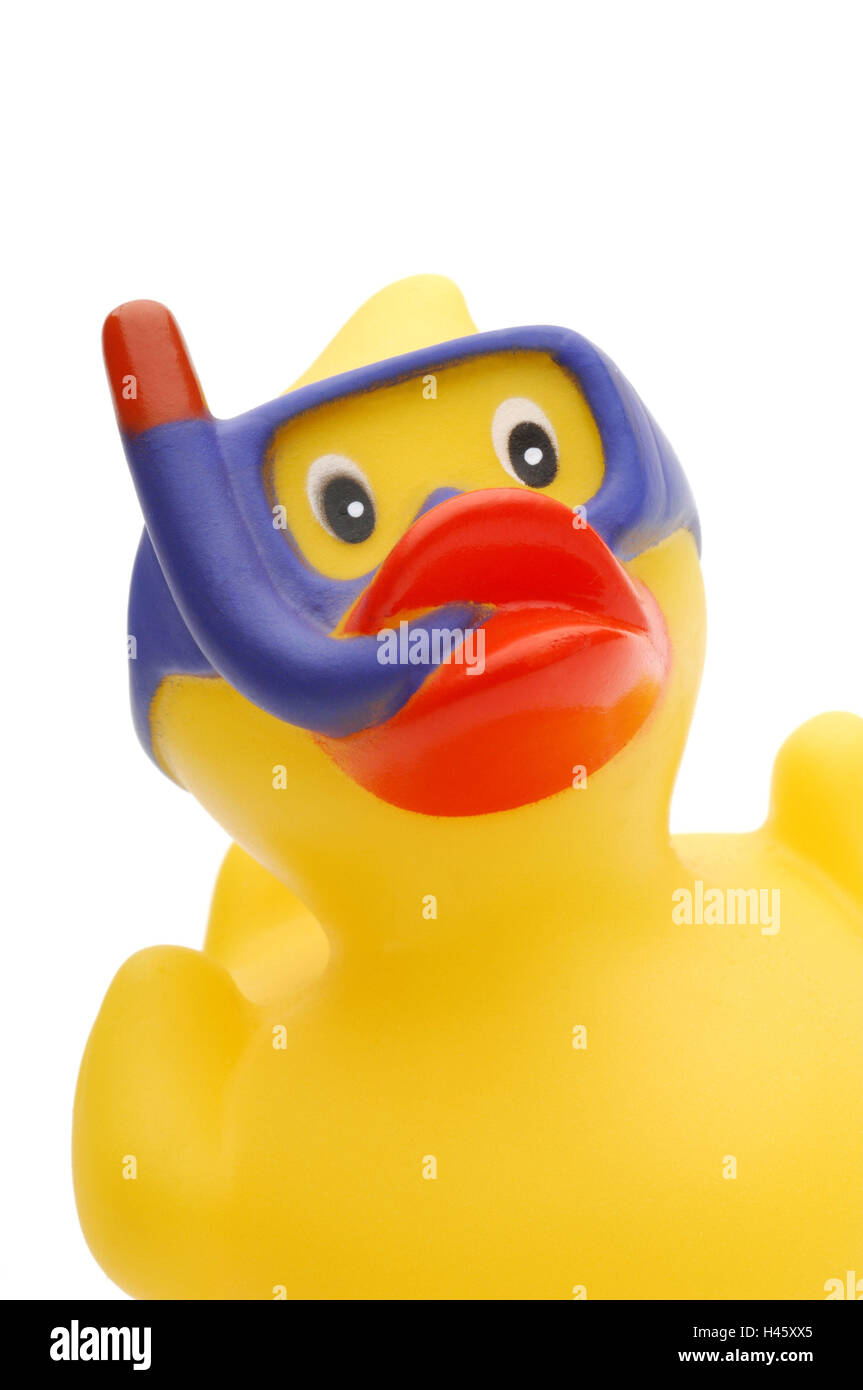 Medium duck hi-res stock photography and images - Alamy