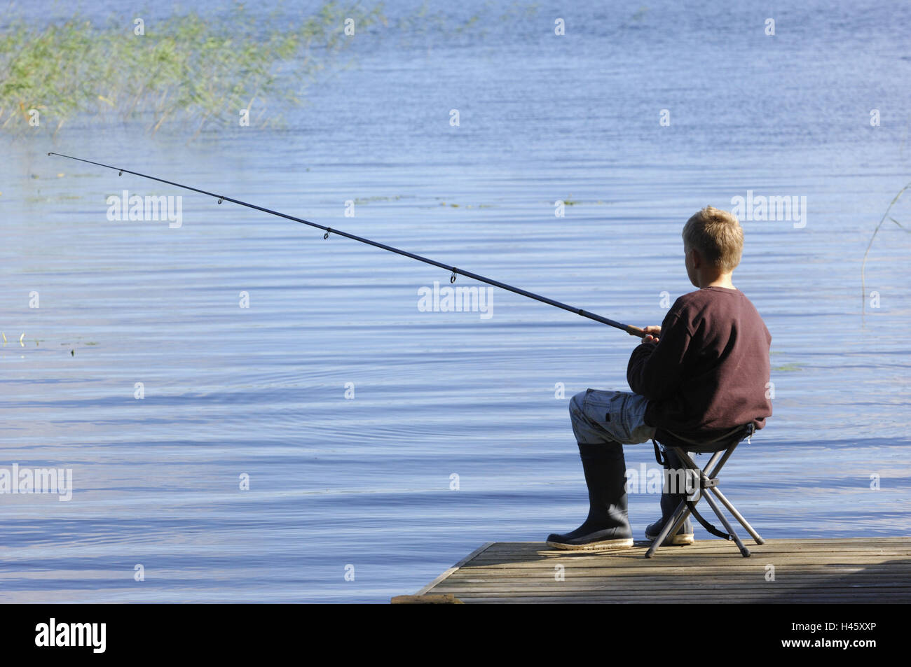 Child, boy, lake, angling Stock Photo - Alamy