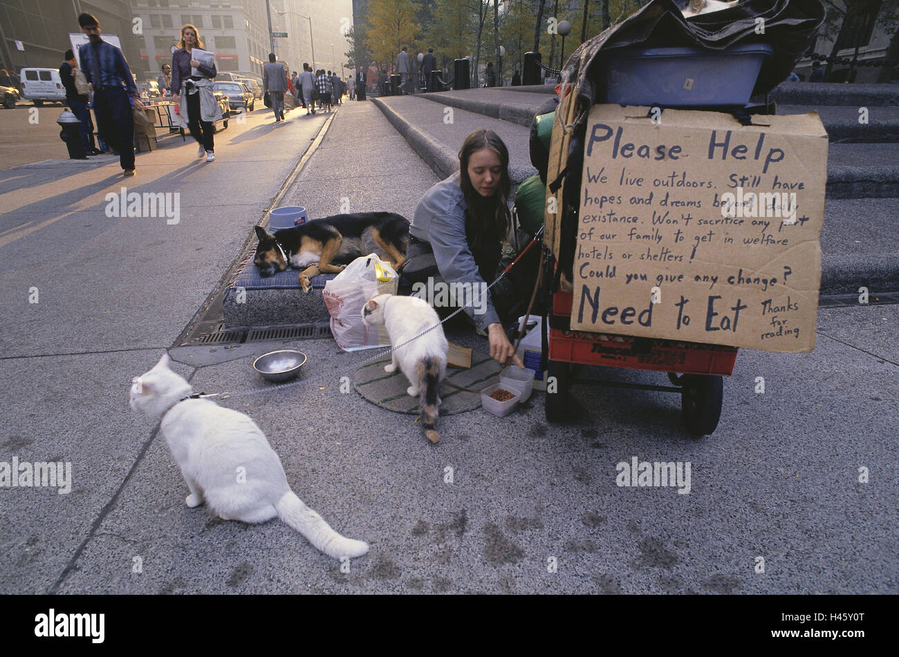 Homeless Woman With Cats
