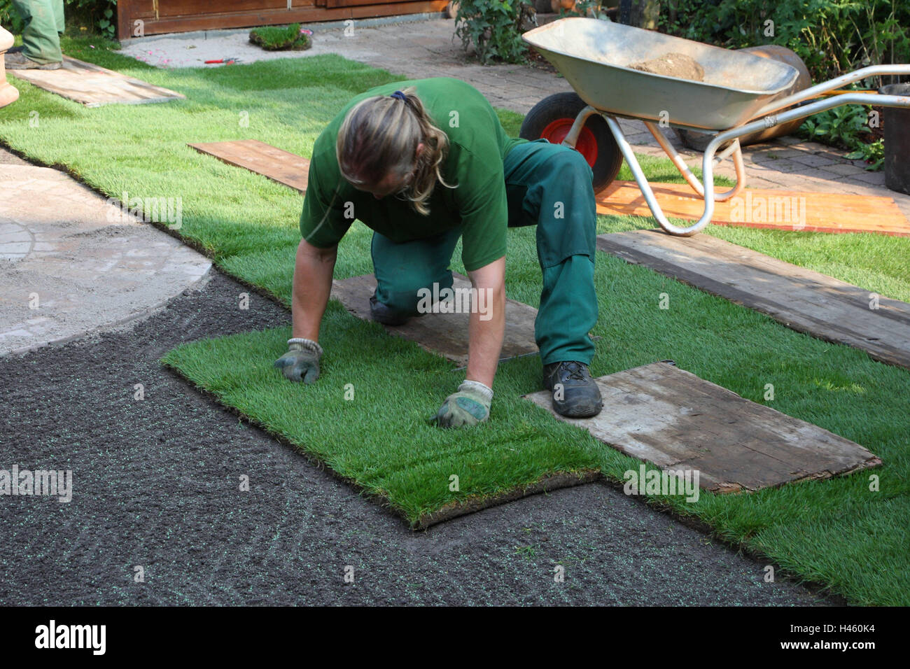 Turf rolling hi-res stock photography and images - Alamy