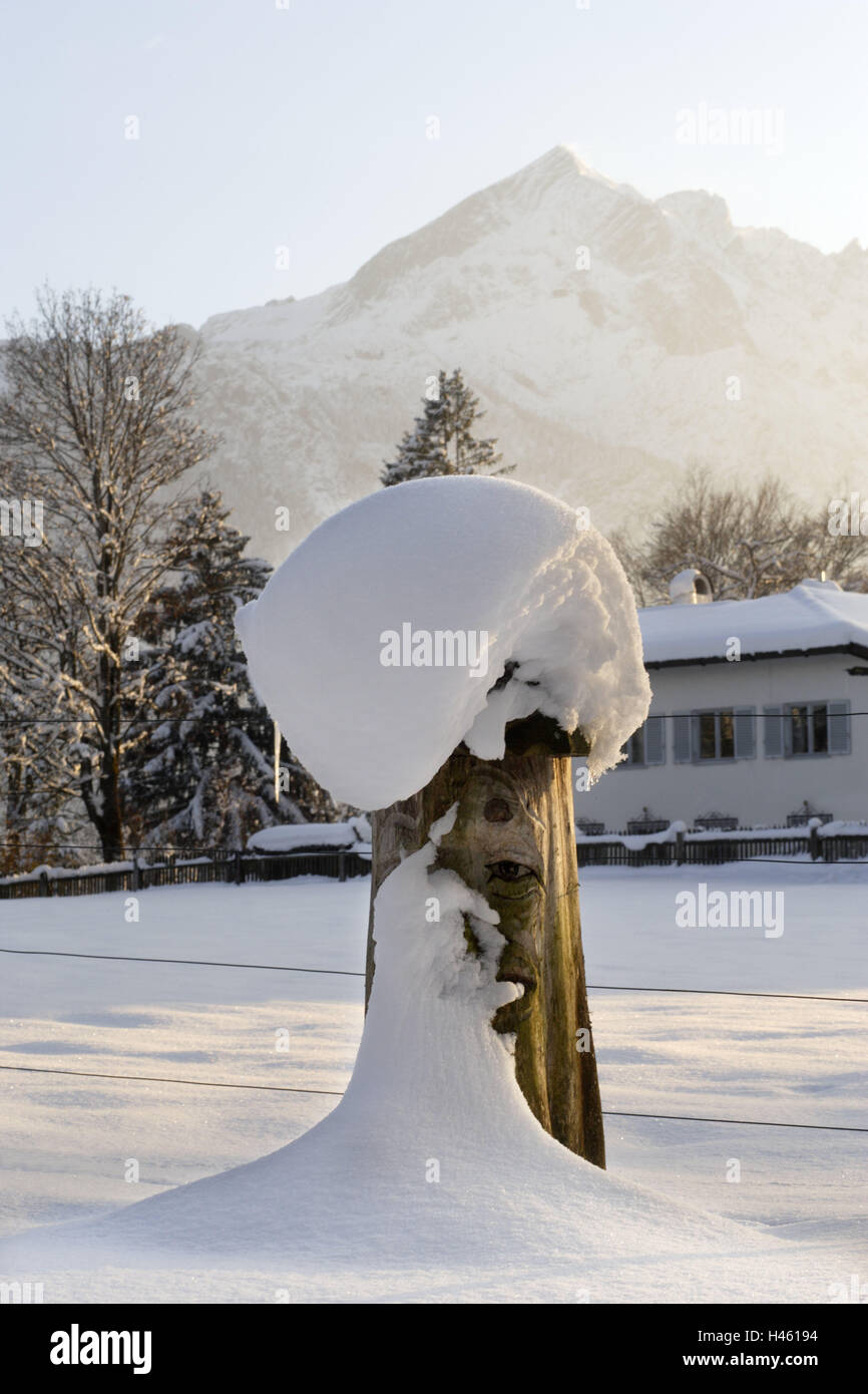 Tree stump with snow hi-res stock photography and images - Alamy