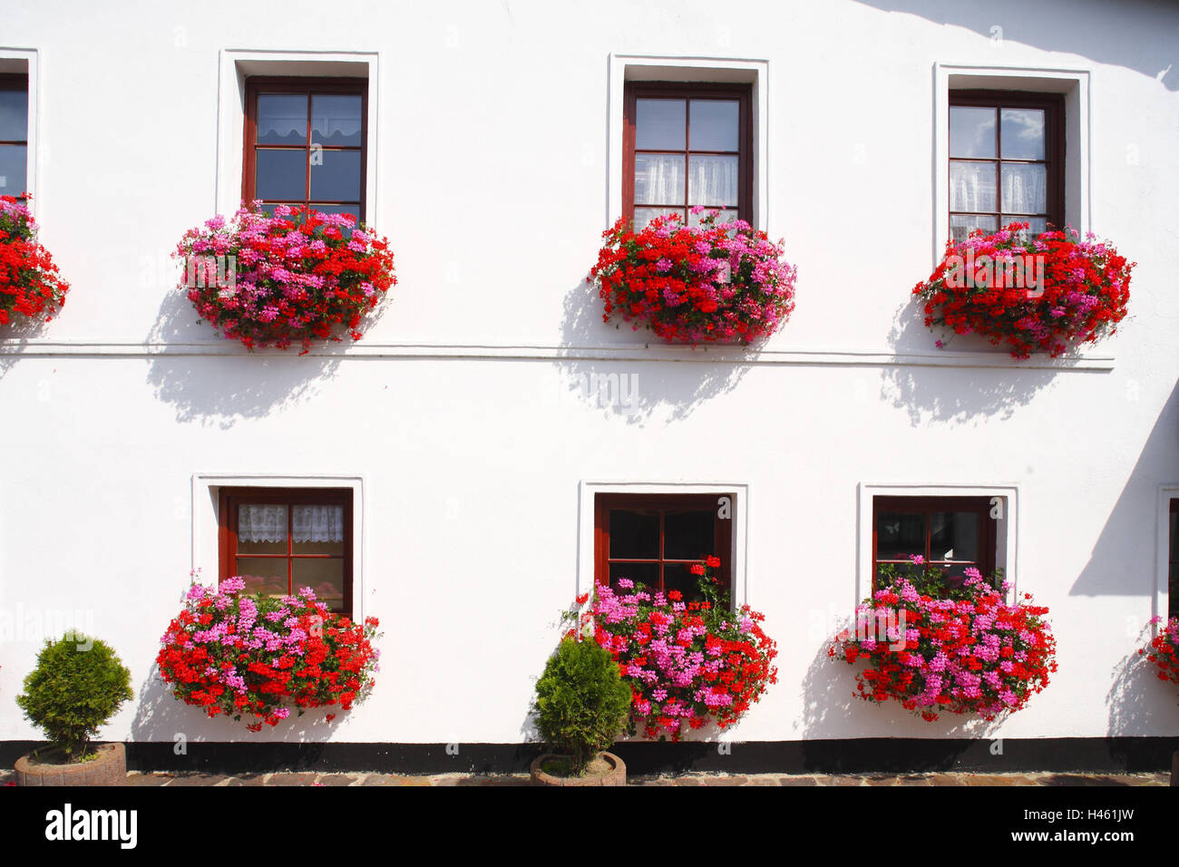 Germany, Mecklenburg-West Pomerania, Greifswald, window boxes and ...