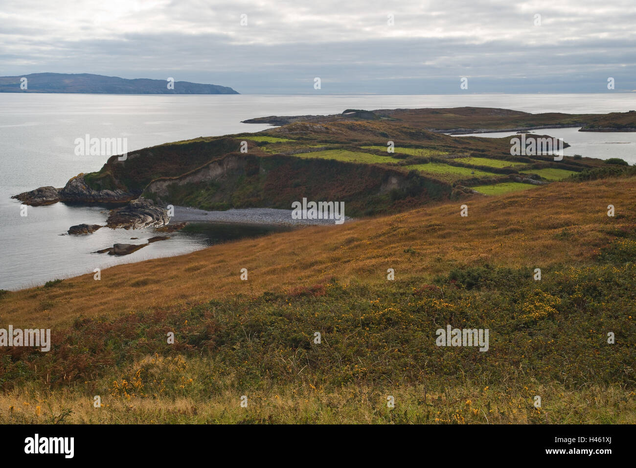 Ireland, Bear Iceland Stock Photo - Alamy