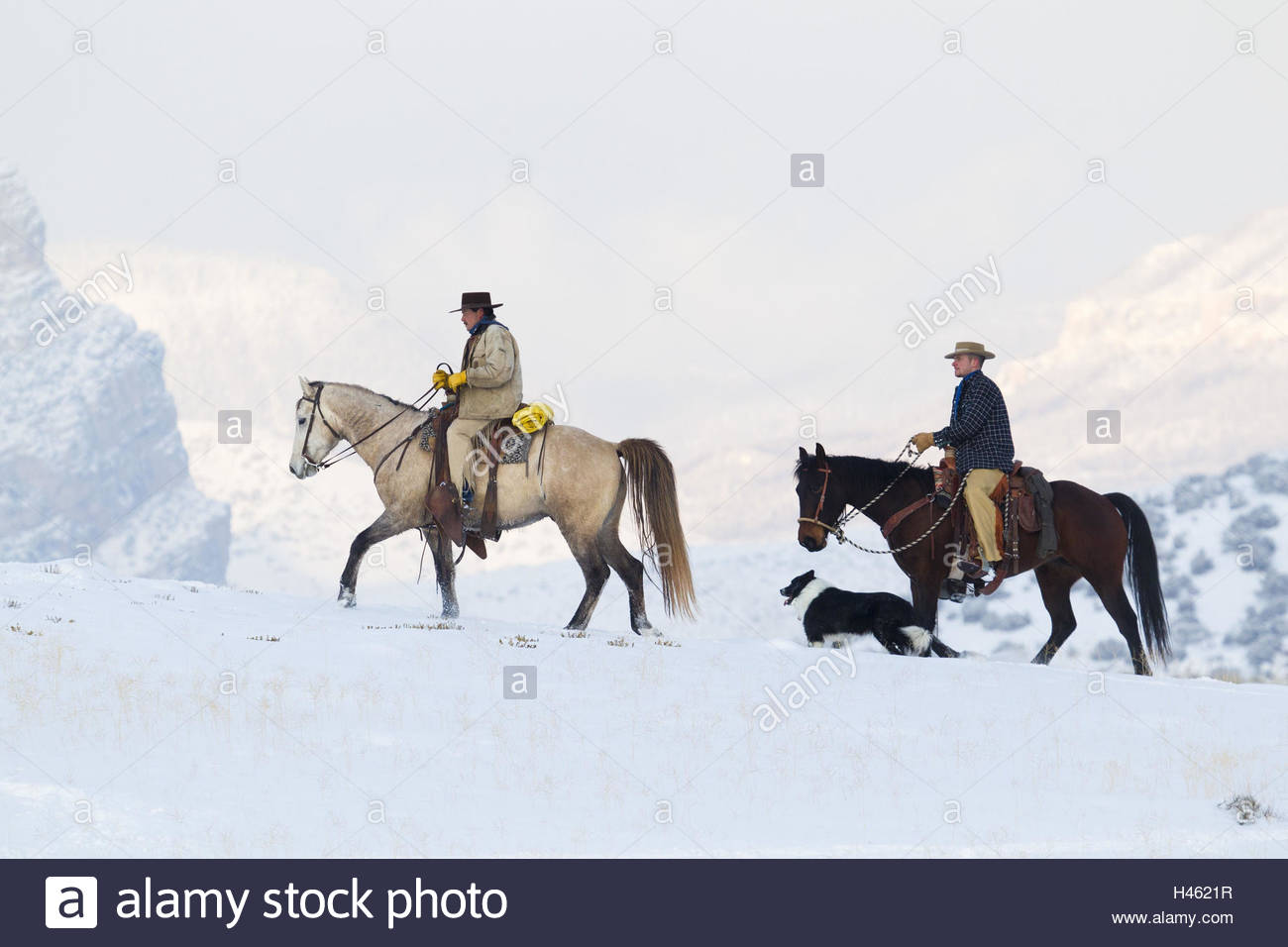 Two Cowboys Riding Horses Stock Photos & Two Cowboys Riding Horses ...