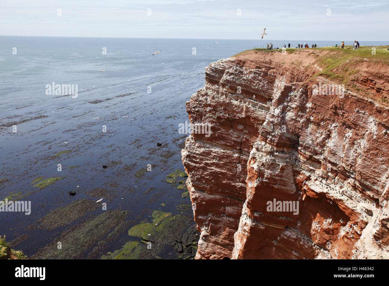 Germany, Schleswig-Holstein, Helgoland, Lummenfelsen, rocks, tourists ...