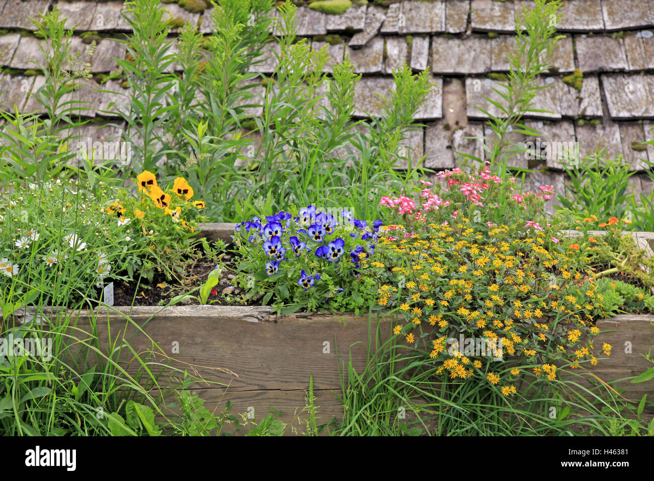 Alpine trough hi-res stock photography and images - Alamy