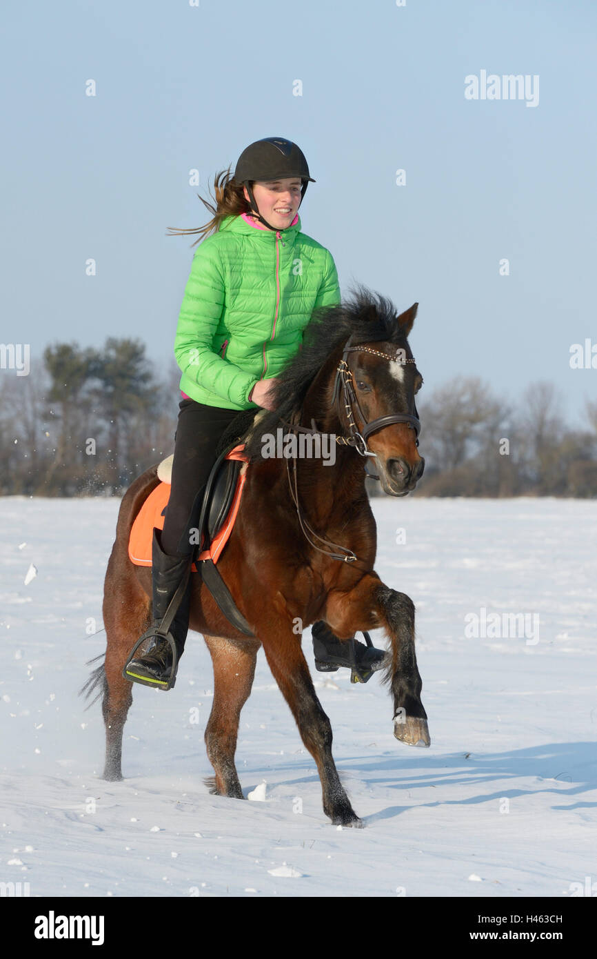 Young rider on back of pony galloping in snow Stock Photo - Alamy