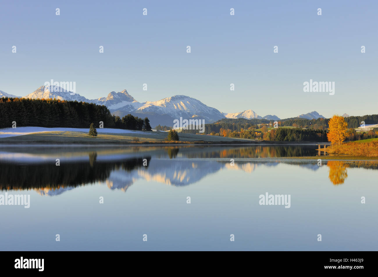 View of forggensee lake hi-res stock photography and images - Alamy