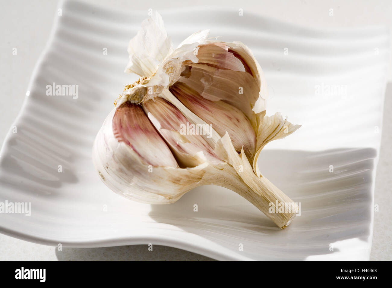 Garlic bulb, Allium sativum Stock Photo - Alamy