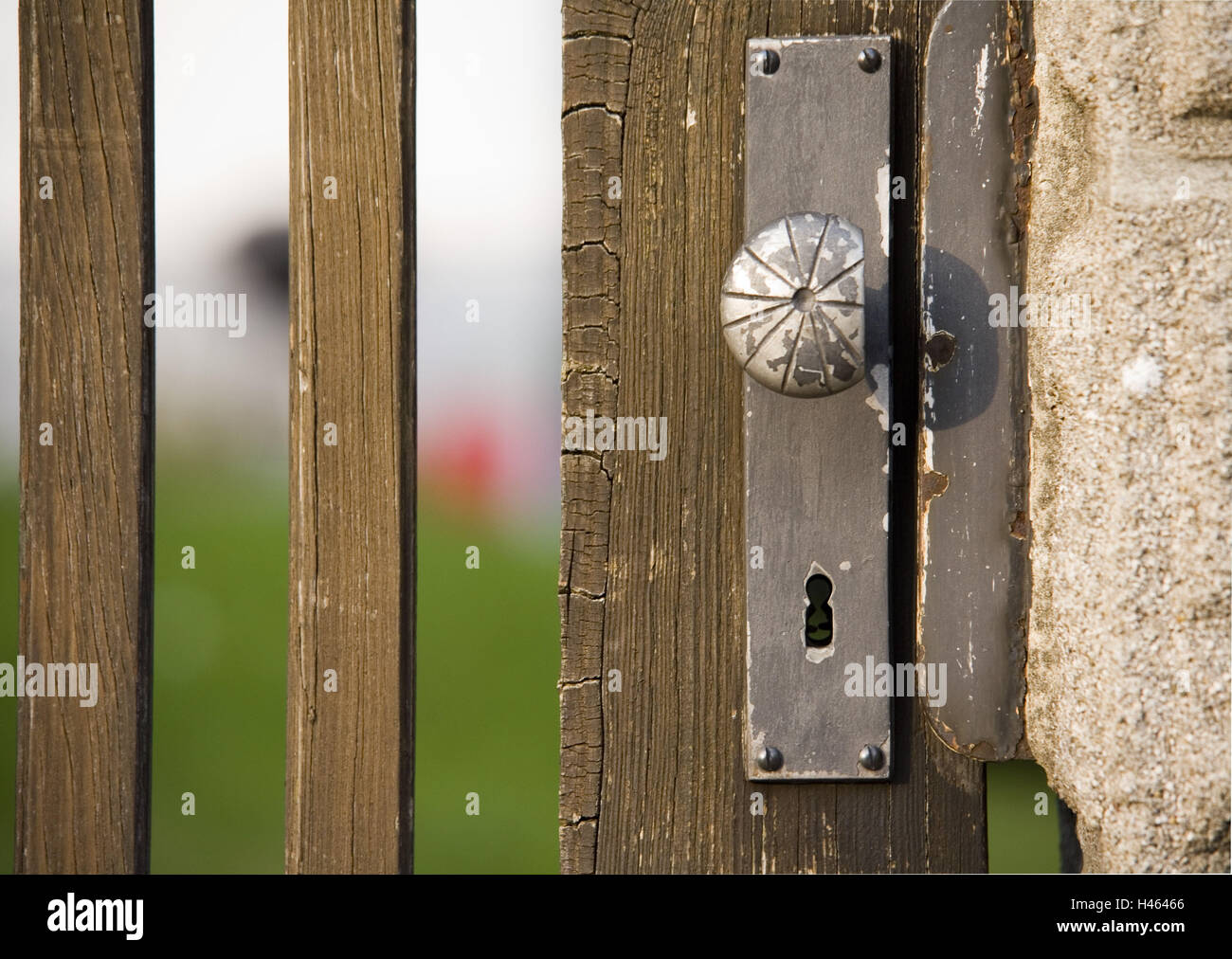 Garden goal, door handle, medium close-up, detail Stock Photo - Alamy